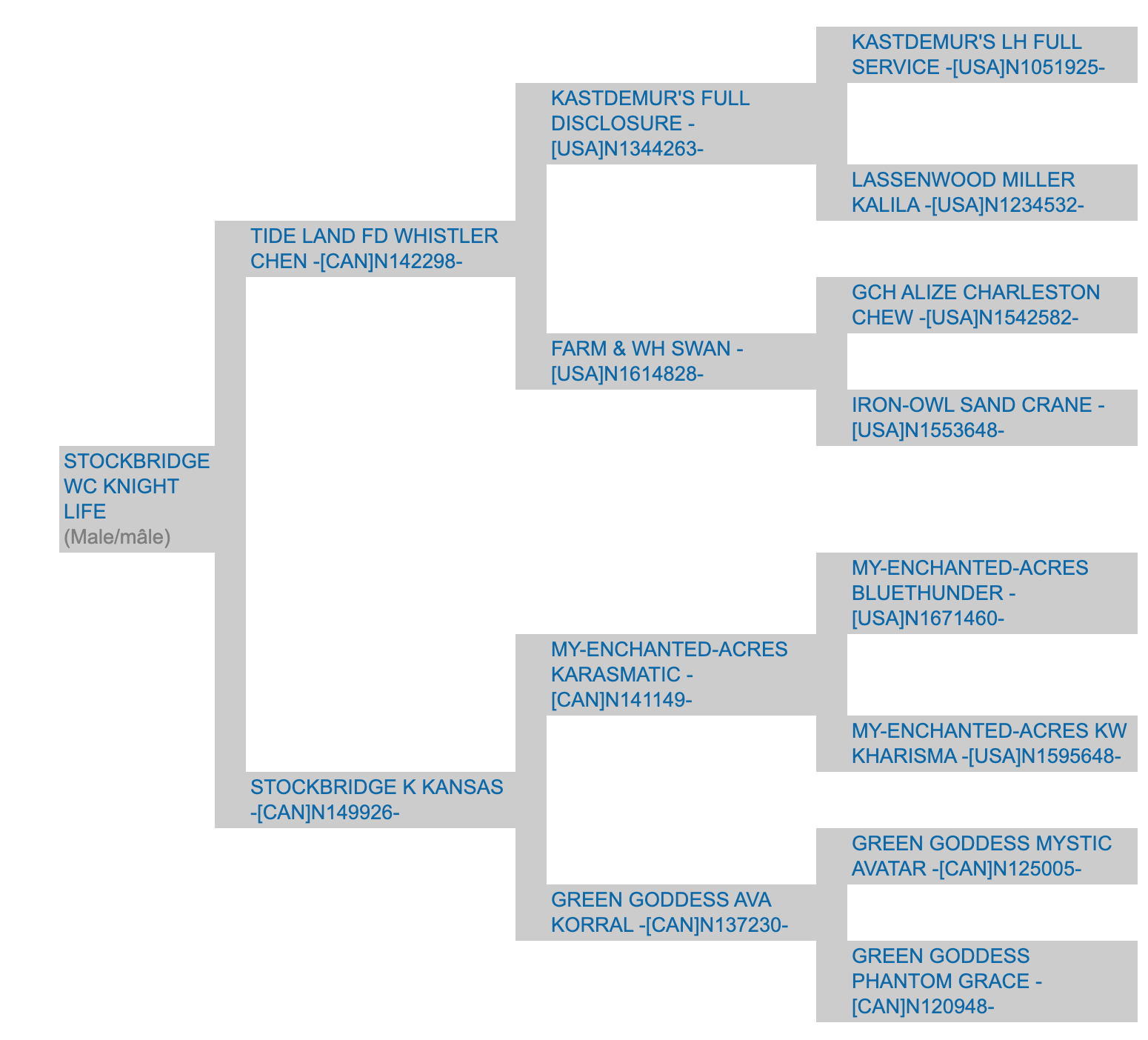 Stockbridge WC Knight Life VG89 – TUM TUM FARM